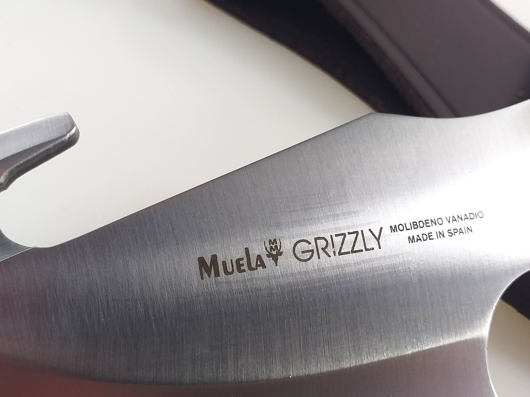 Muela Grizzly-12R Skinner Knife | Dream-Knives
