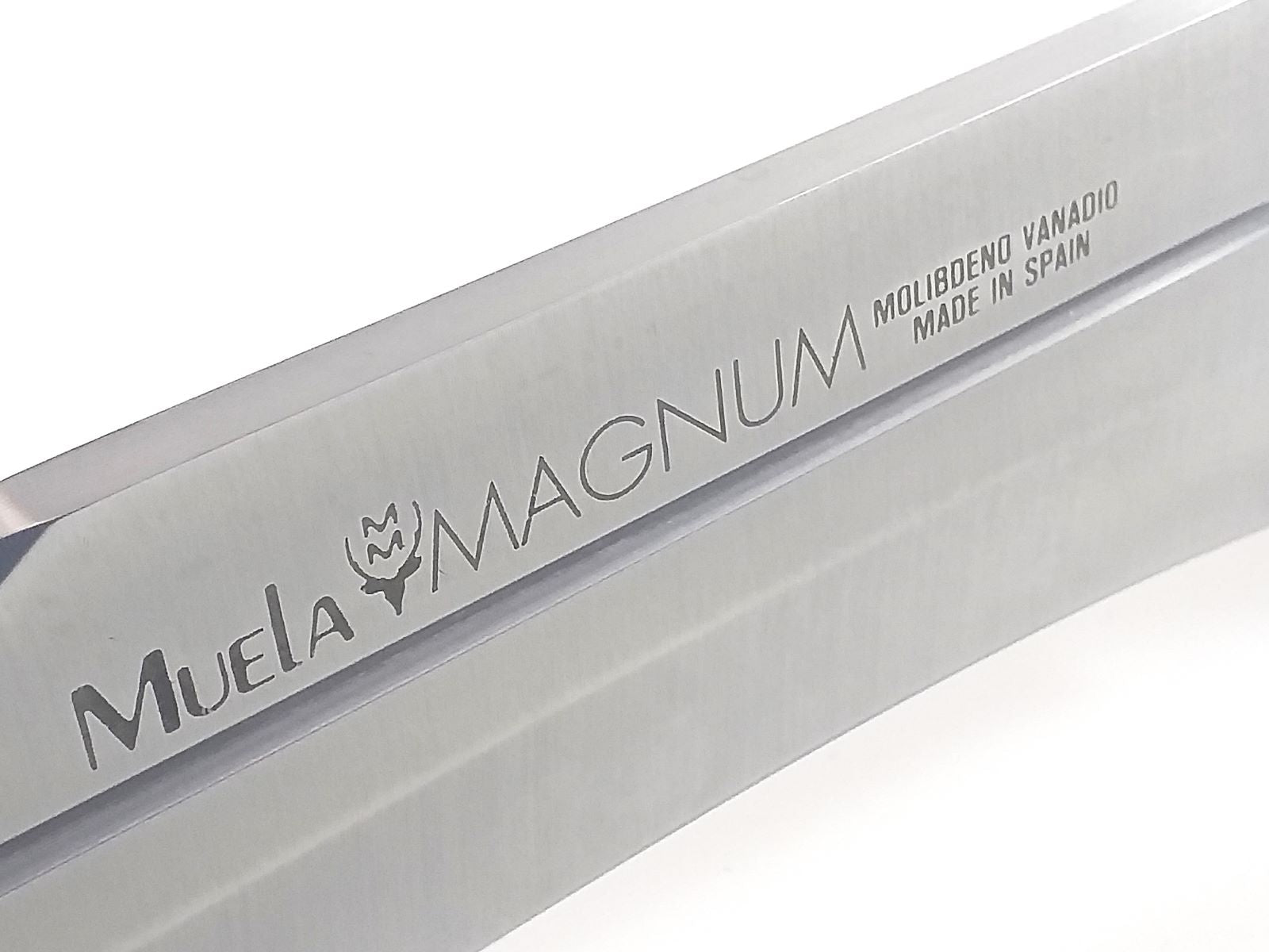Muela Magnum-26LA Knife | Dream-Knives