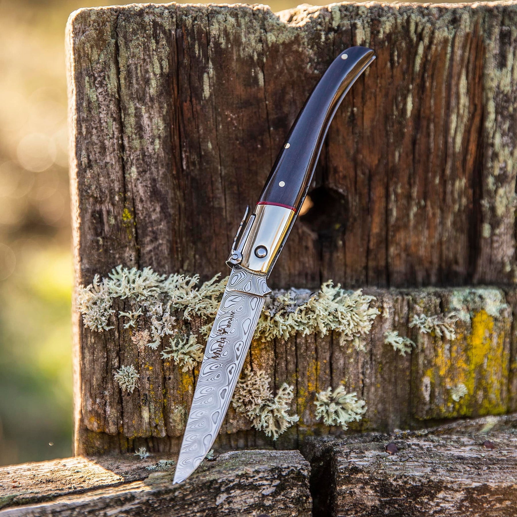 Muela knives for sale – Tagged "damascus"