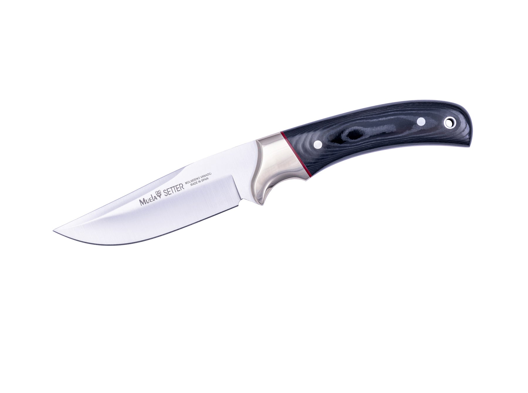 Muela Setter-11M Knife | Dream-Knives