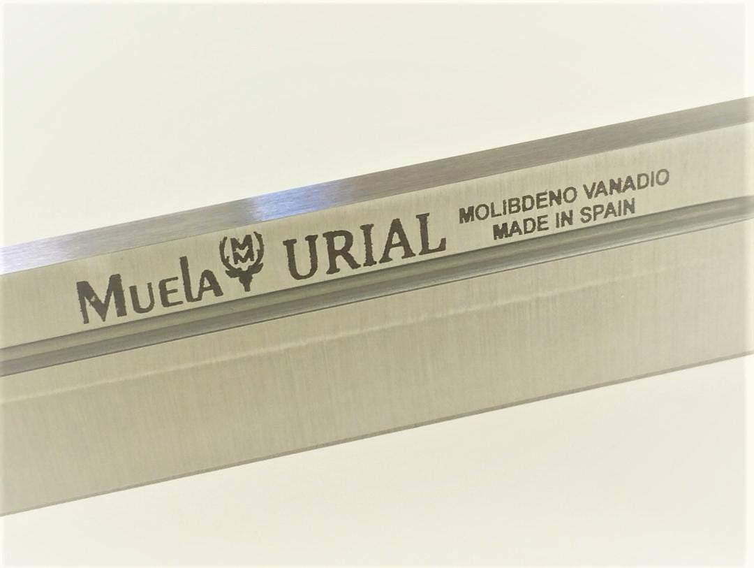 Muela