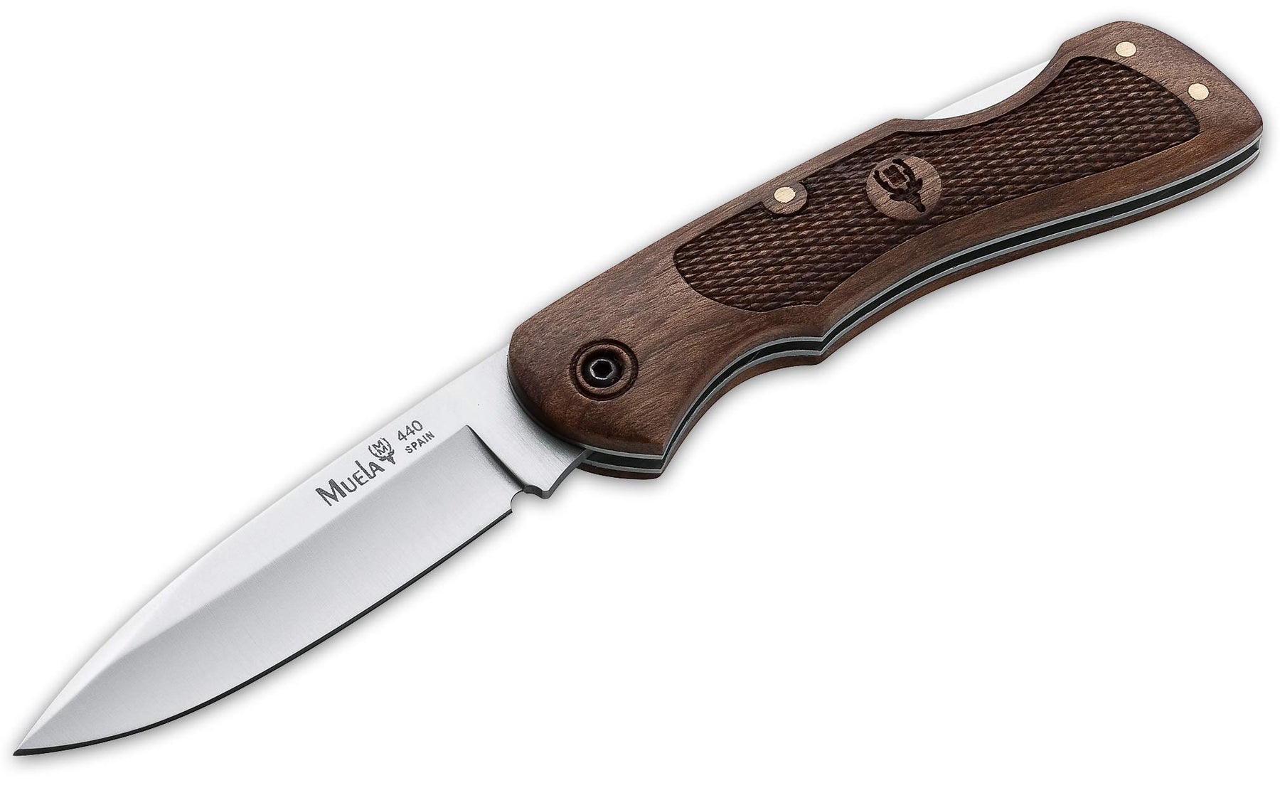 Muela knives for sale – Tagged "folding-knife"